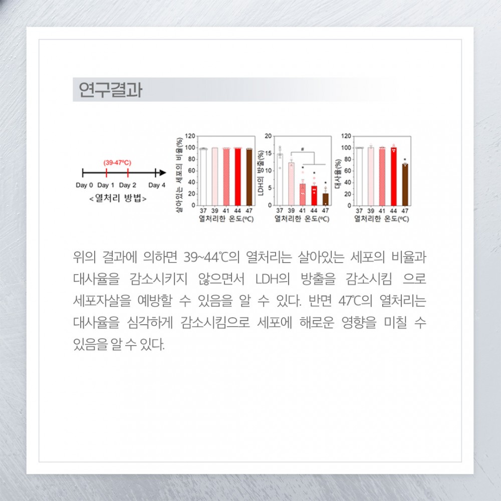 배양시 약한 열처리에 의한 ADSC의 능력개선 > 미다스칼럼 | 미다스성형외과 줄기세포가슴성형
